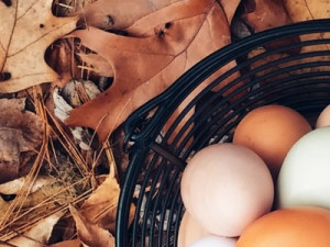 WordPress Design Development and Tips | Cre8d Design Blog